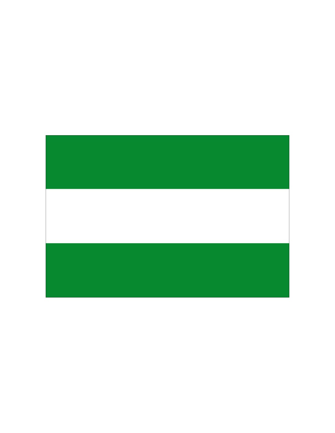 Bandera de Tunja | ABAD HISPANIA | AB-AD